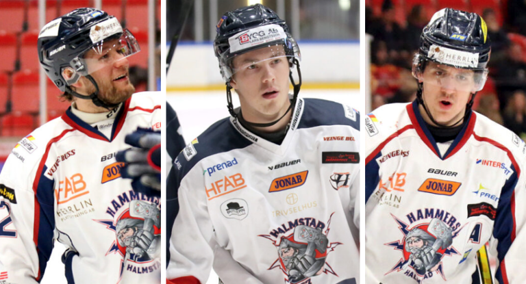 Otäcka olyckan: Halmstads toppforward Robin Dahse fick skridskoskena i ...