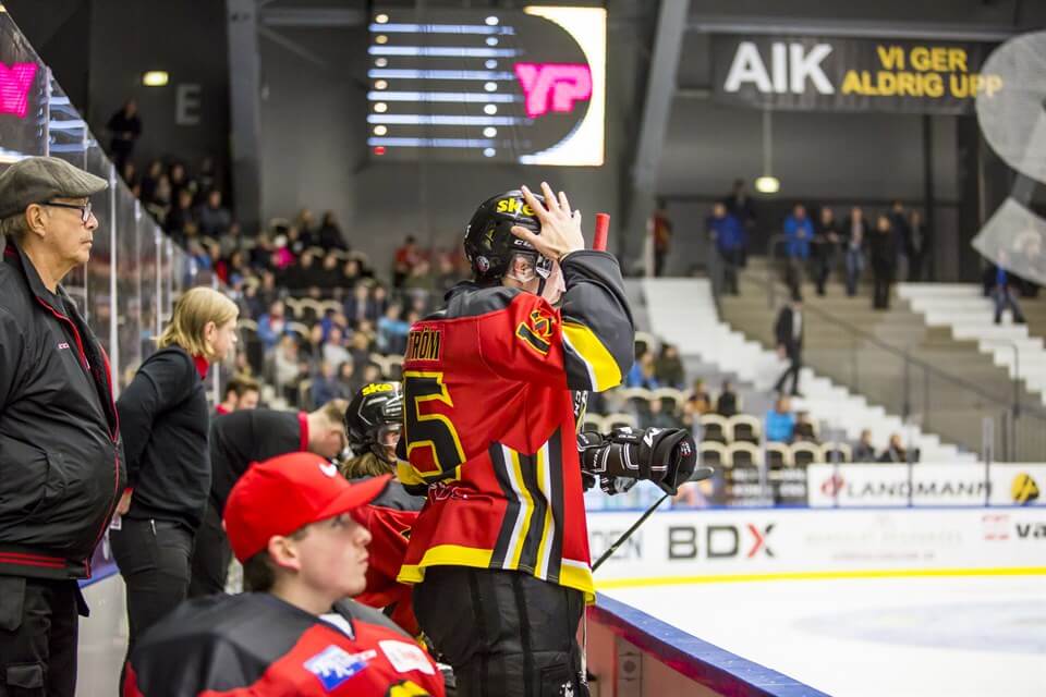 Lejon övertidsvinnare mot Teg - Hockeyettan.se