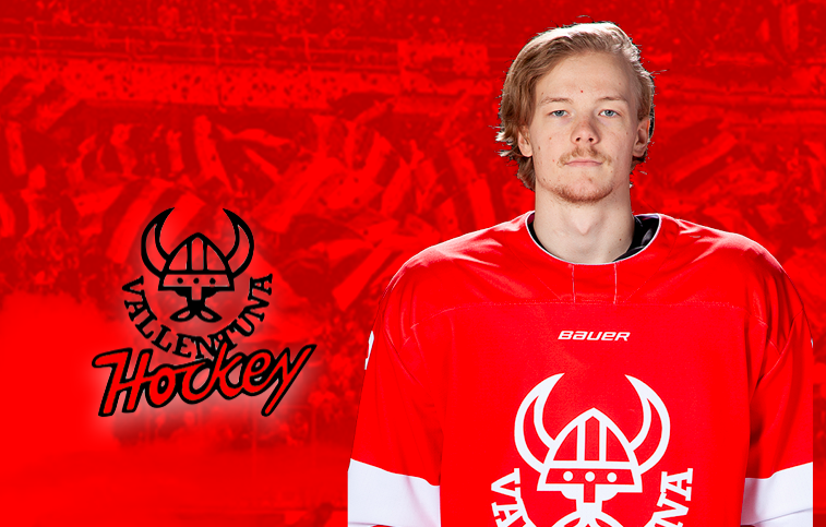 Erik Stenbacka klar för VBK 2019/20 - Hockeyettan.se