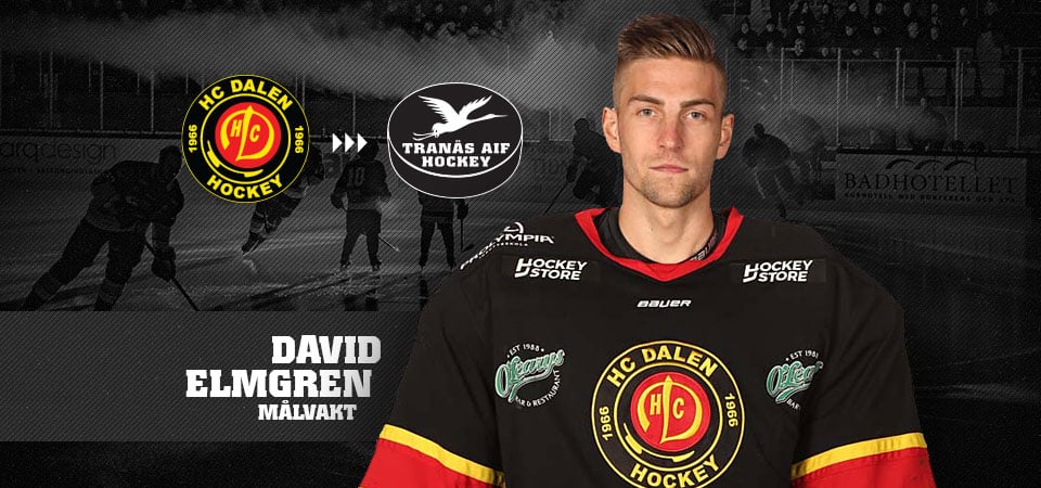 Målvaktsparet spikat - David Elmgren tar andra platsen - Hockeyettan.se