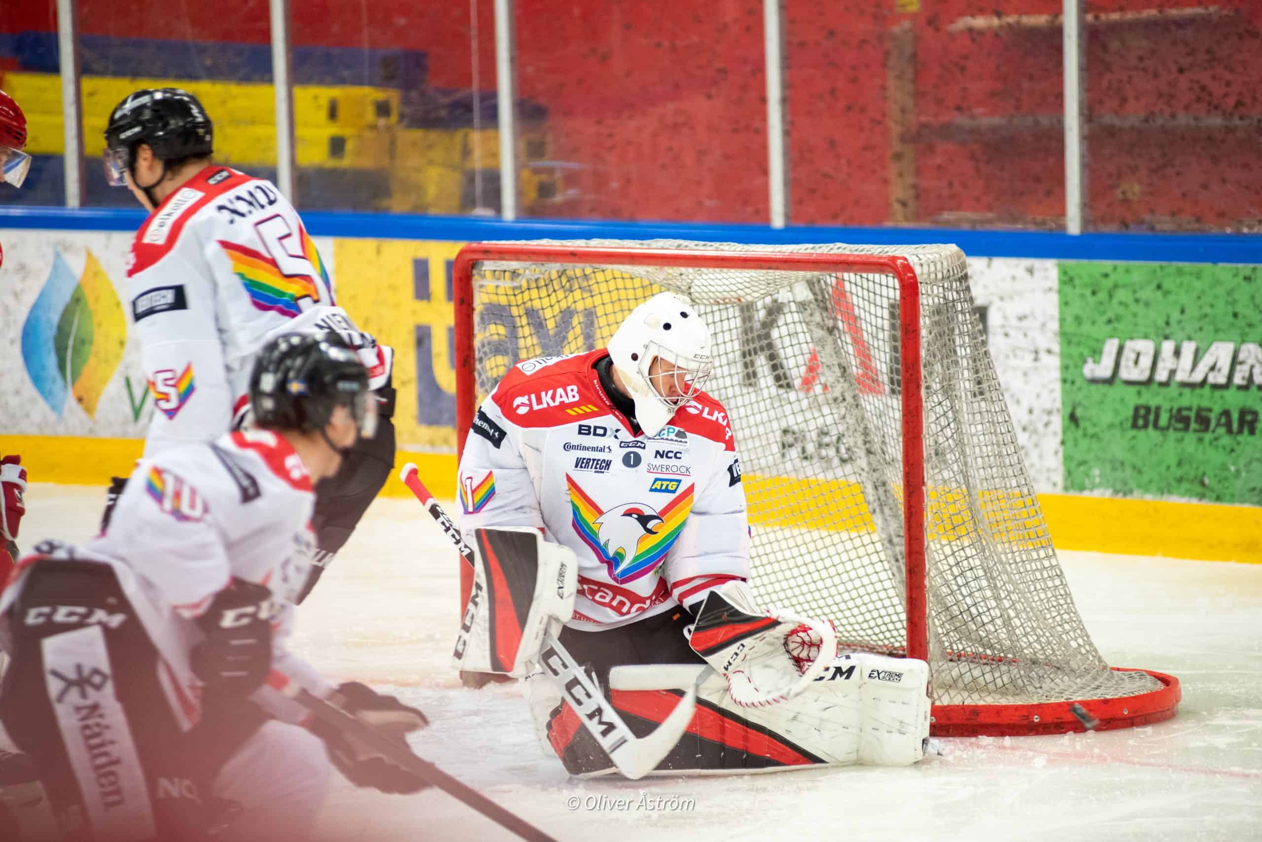 Krajcovic - en sann förebild - Hockeyettan.se