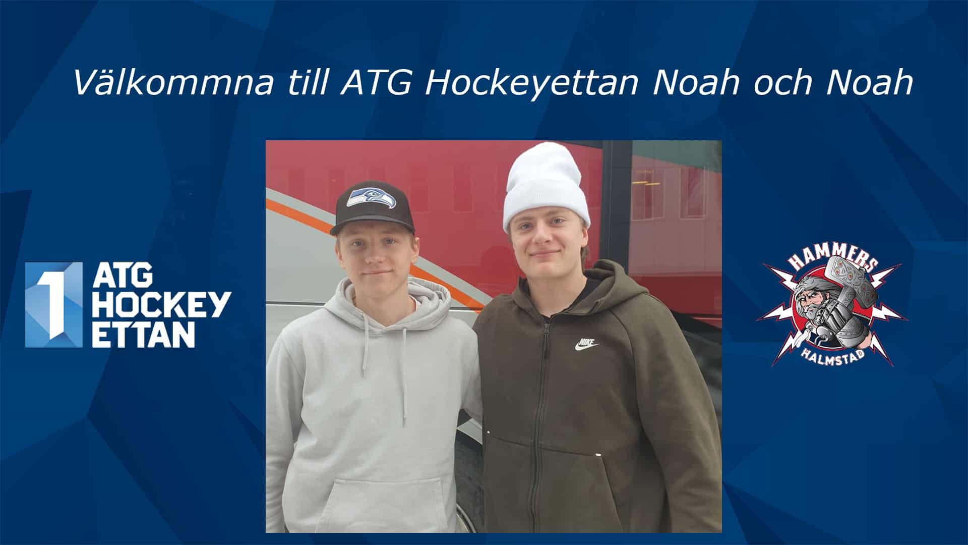 Noah Hasa, 17, och Noah Andersson, 18, debuterar i Halmstad Hammers