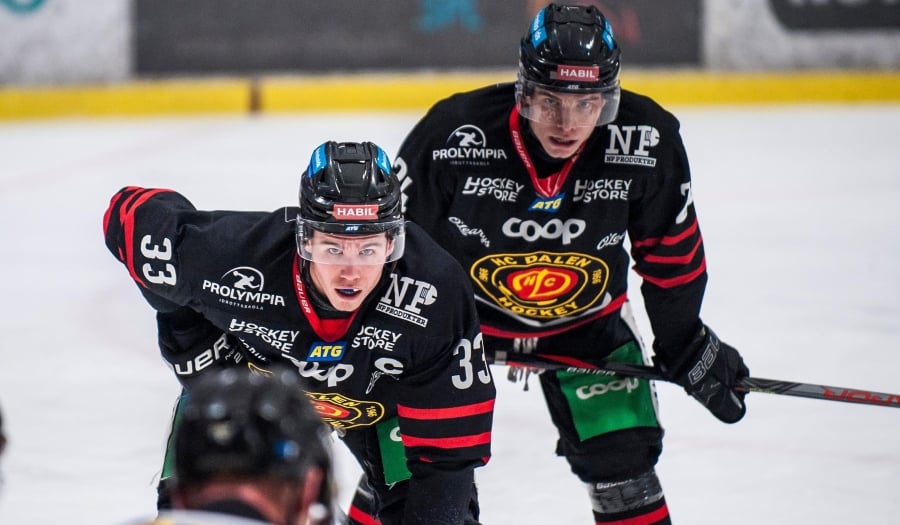 HC Dalen förlänger med bröderna Røykås-Marthinsen - Hockeyettan.se