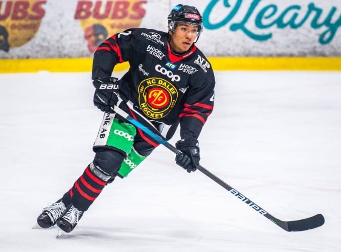 HC Dalen förlänger med spelarduo - Hockeyettan.se