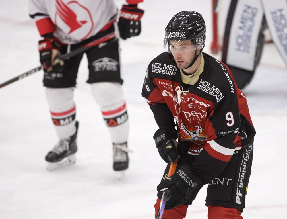 ”Dubbelhelg” hemma för Hudik - Hockeyettan.se