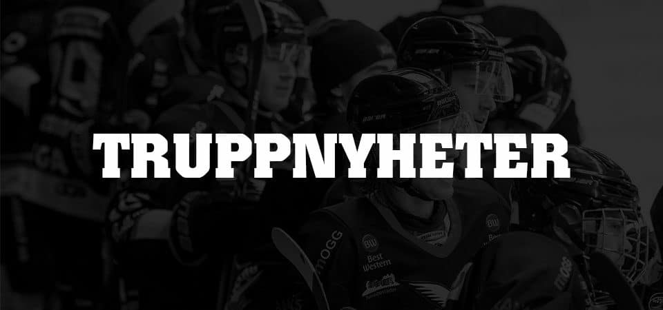 Anthony Constantini till AHL istället - Hockeyettan.se