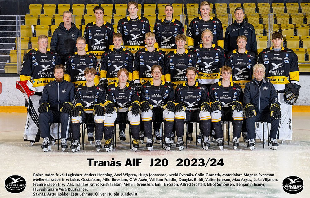 Avancemang till J20 Regional Syd - Hockeyettan.se